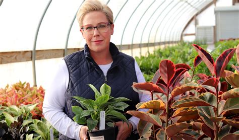 9 Trees That Look Like Hydrangea With Pictures