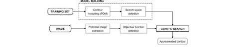 general outline of the contour location system using genetic algorithms