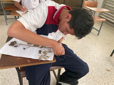 งานสวนพฤกษศาสตร์โรงเรียน วิทยาลัยการอาชีพนครศรีธรรมราช