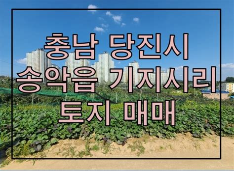 당진부동산 당진시 송악읍 기지시리 토지 매매 매물번호 G 12 네이버 블로그