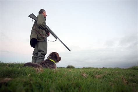 Aux Etats Unis Un Chien Tue Par Balle Un Chasseur Tunisie Direct