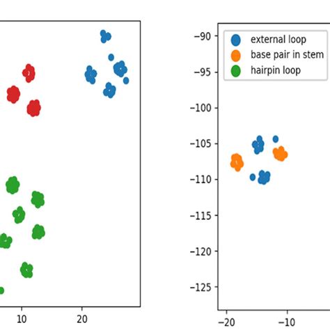 Visualization Of Rna Base Embedding Shown Is A T Sne Projection From A Download Scientific