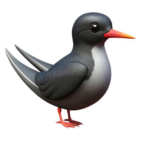 Black Tern Bird With Orange Beak And Red Feet Wildlife Stock Illustration Illustration Of