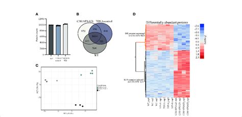 Global Assessment Of Proteomics Measurements A The Number Of Download Scientific Diagram
