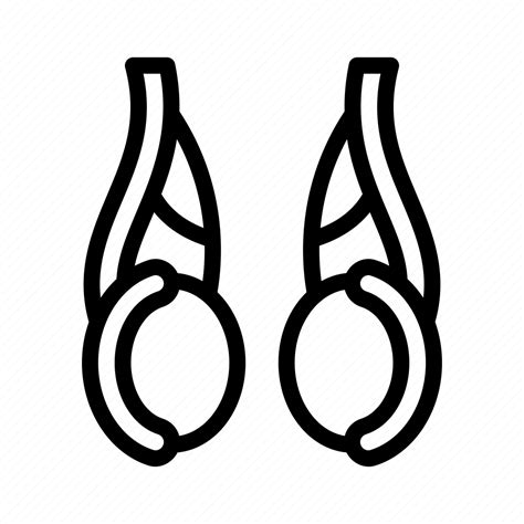 Testicles Medical Anatomy Body Organ Masculine Reproduction Icon