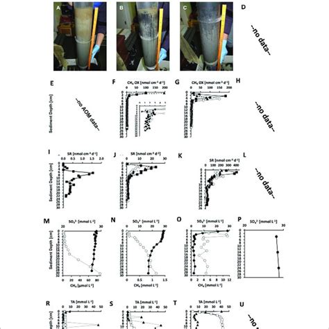 A B C Selected Sediment Core Photos And Biogeochemical Parameters
