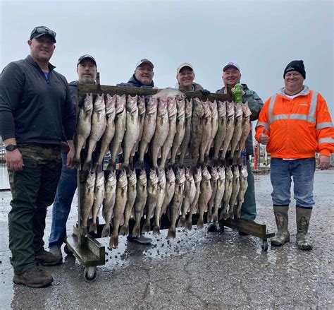 04 11 24 Lake Erie Walleye Report Fishing Addiction Gear