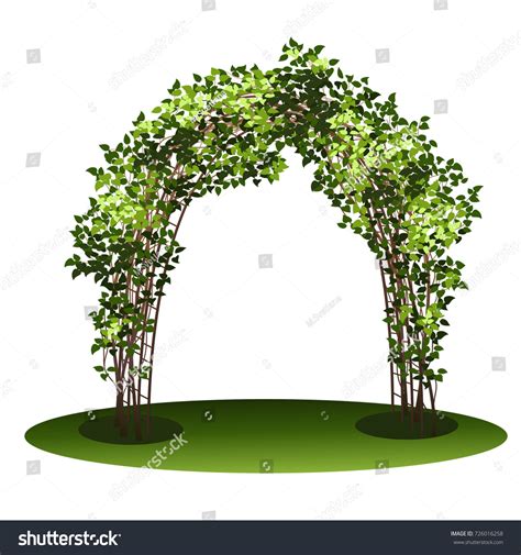 2 176 Grass Arch Stock Illustrations Images And Vectors Shutterstock