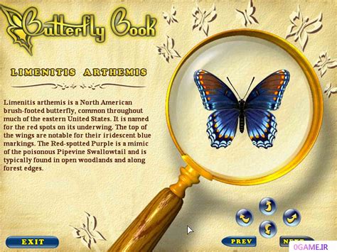 دانلود بازی فرار پروانه Butterfly Escape نسخه کامل برای کامپیوتر