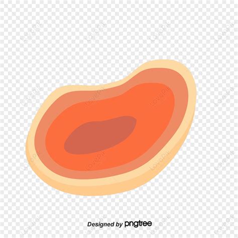 얇게 썬 고기 일러스트 벡터ai 형식음식bbq Png 일러스트 무료 다운로드 Lovepik