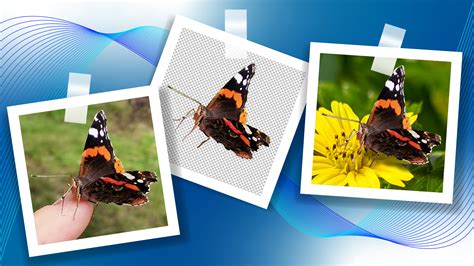 Photoshop Hintergrund Entfernen Tutorial Vispronet® Blog