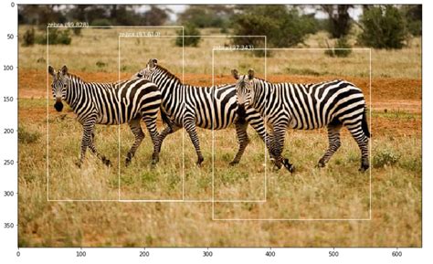 Github Majid Hosseiniimage Object Detector Image Object Detection