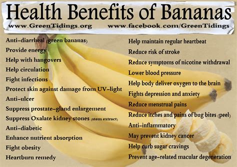Are Bananas Good For You When Ill At Hollis Gonzalez Blog