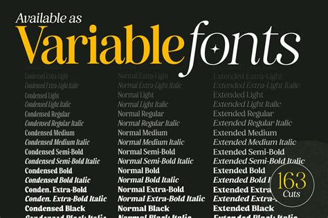 Retro Voice Variable Serif Font By Blessed Print