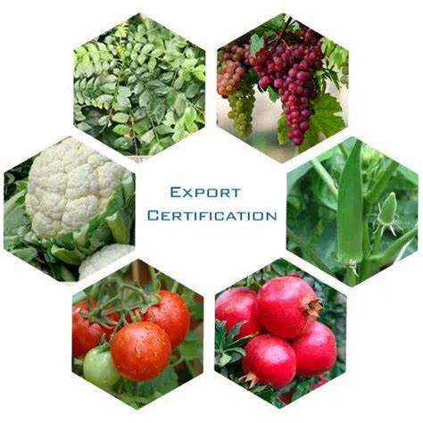 Export Certification In Pune Id 21471740248