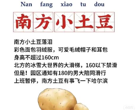 勇闯哈尔滨南方小土豆东北历险记 今日热梗