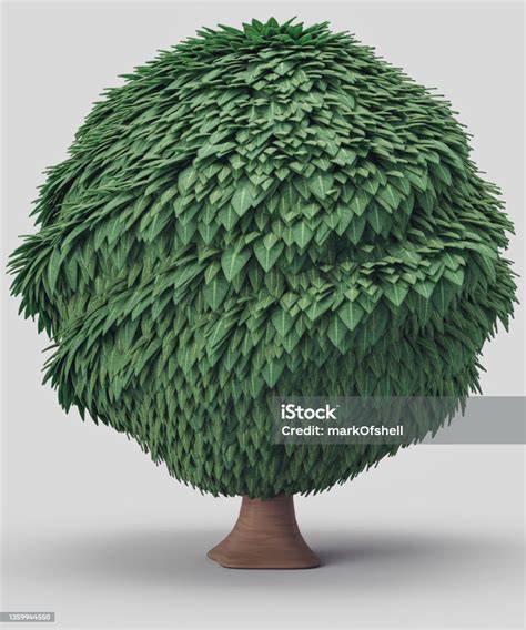 조밀한 잎이 있는 단일 트리 녹색 잎으로 덮인 트리 모델 격리된 기본 모양 트리 모델 사람 및 흰색 배경 3d 렌더링 가을에 대한 스톡 사진 및 기타 이미지 Istock