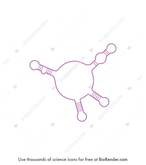 Free Circular Rna Icons Symbols And Images Biorender