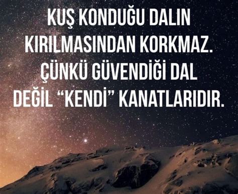 Kübra Aysu Posted On Linkedin