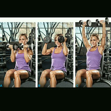 Arnold Press By Stephanie R Exercise How To Skimble