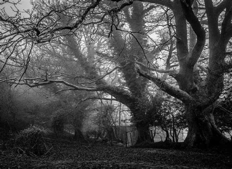 백반증 원인과 치료 방법