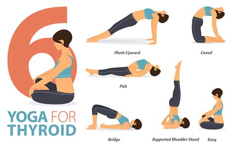 6 Йога Позы Или Асаны Позы Для Тренировки В Йоге Для Щитовидной Железы Концепции Женщины