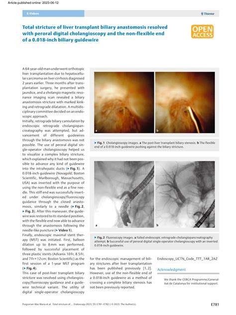Pdf Total Stricture Of Liver Transplant Biliary Anastomosis Resolved With Peroral Digital