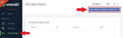 Remote Backups Create And Set Your Wasabi Api Credentials Gridpane