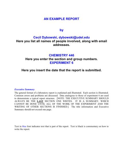 94 Executive Summary Example Free To Edit Download Print CocoDoc