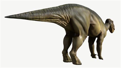 Iguanodon Modelo 3d 35 Unknown Fbx Obj Dae Free3d