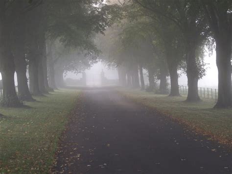 Misty Gate By Fogarty62 On Deviantart