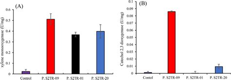 Xylene Monooxygenase And Catechol 2 3 Dioxygenase Activity In Different Download Scientific