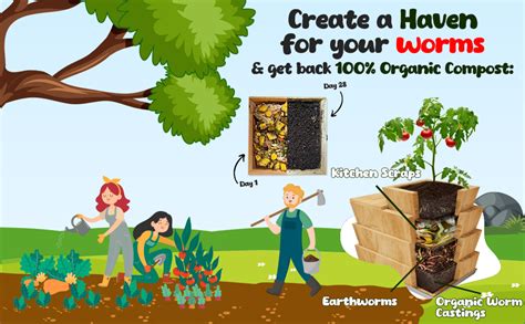 Wwjd Worms The Box Of Life Worm Wood Composter Odorless