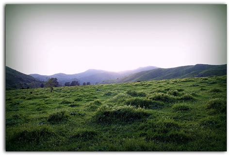 Bumpy Grassandbrightness Ventura Natural Landmarks Hometown