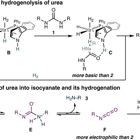 Possible Reaction Pathways A Metal Ligand Cooperative Pathway B
