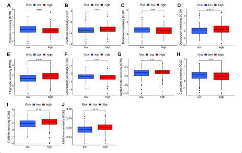 Drug Sensitivity Analysis In Tcga Cohort The Ic50 Of Download