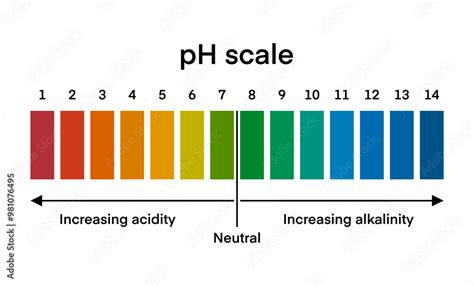 Ph Scale Diagram Ph Scale Graphic Acid To Base Ph Scale Infographic