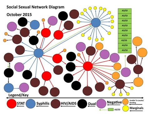 Social Sexual Network Diagram PPT