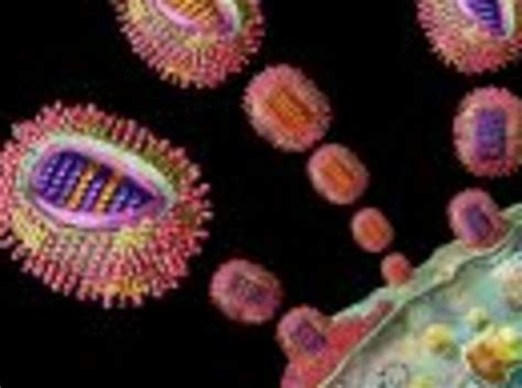 Father Of Girl Who Died From Bird Flu Now Has Virus The Advertiser