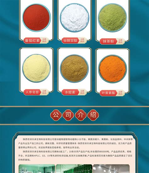 首页