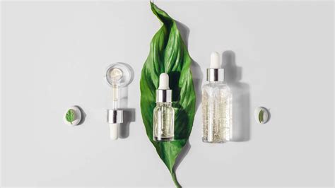 Active Skincare Ingredients To Add In Your Skincare Routine