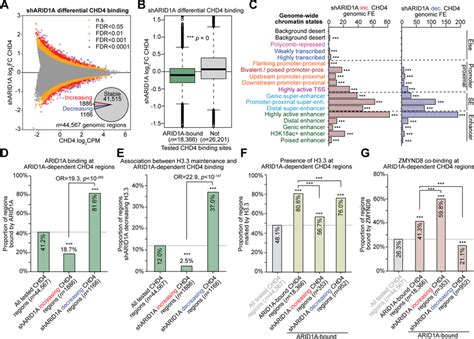 Genome Wide Analysis Of Arid1a Dependent Chd4 Binding A Ma Plot Of