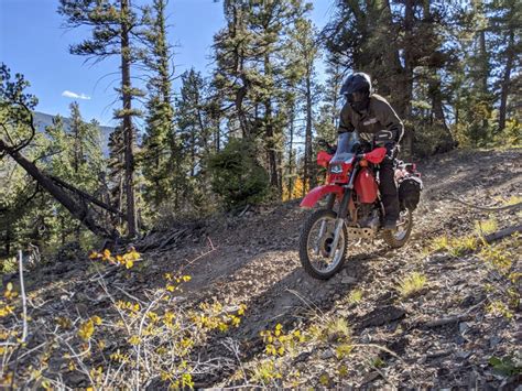 Motorcycle Trail Riding In New Mexico Reviewmotors Co