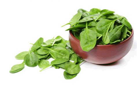 Kandungan Nutrisi Dan 13 Manfaat Bayam Untuk Kesehatan Bams