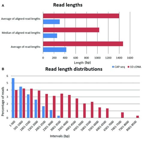 Read Length And Read Length Distributions A The Horizontal Bar Download Scientific Diagram