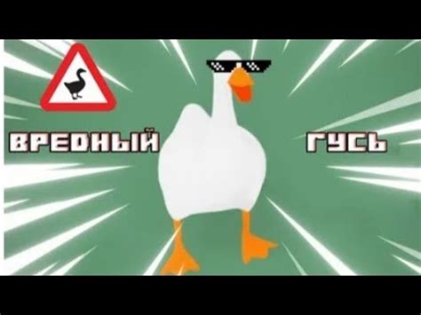 гусь без названия вредный характер опасен для нервов (1) - YouTube