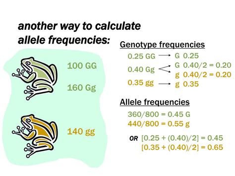 PPT Evolution Change In Allele Frequencies Within Populations PowerPoint Presentation ID