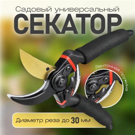 Секатор купить на OZON по низкой цене (1701113846)