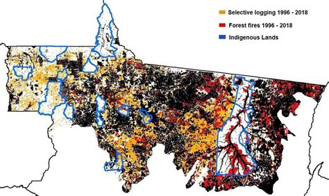 Forest White Deforestation Black Selective Logging Orange And