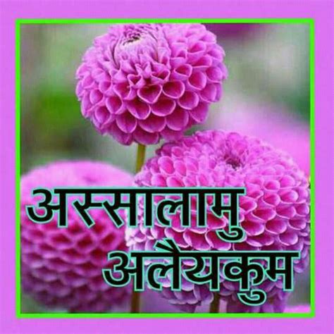 Islam Is The Complete Way Of Life जिंदगी में एक बार मिलती है माँ